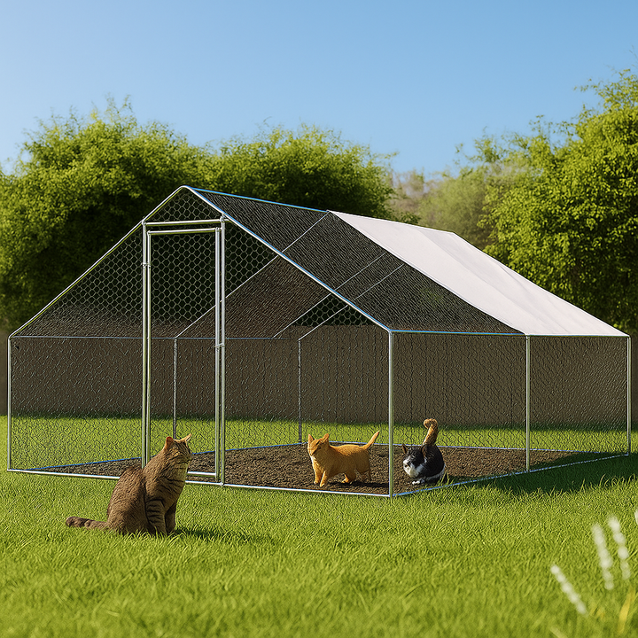 5 Tips to Introduce Your Cat to a New Outdoor Cat Pen or Catio