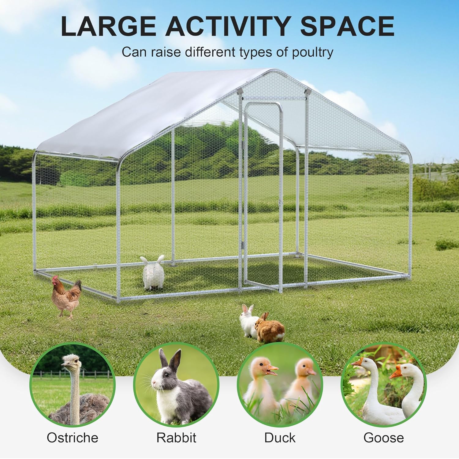 Metal Chicken Cage 3m x 2m Walk-In Chicken Enclosure Galvanised Steel