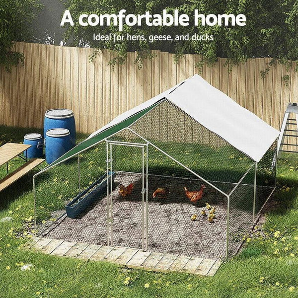 Large Cat Enclosures | Outdoor Options for Big Cats or Multi-Cat Homes