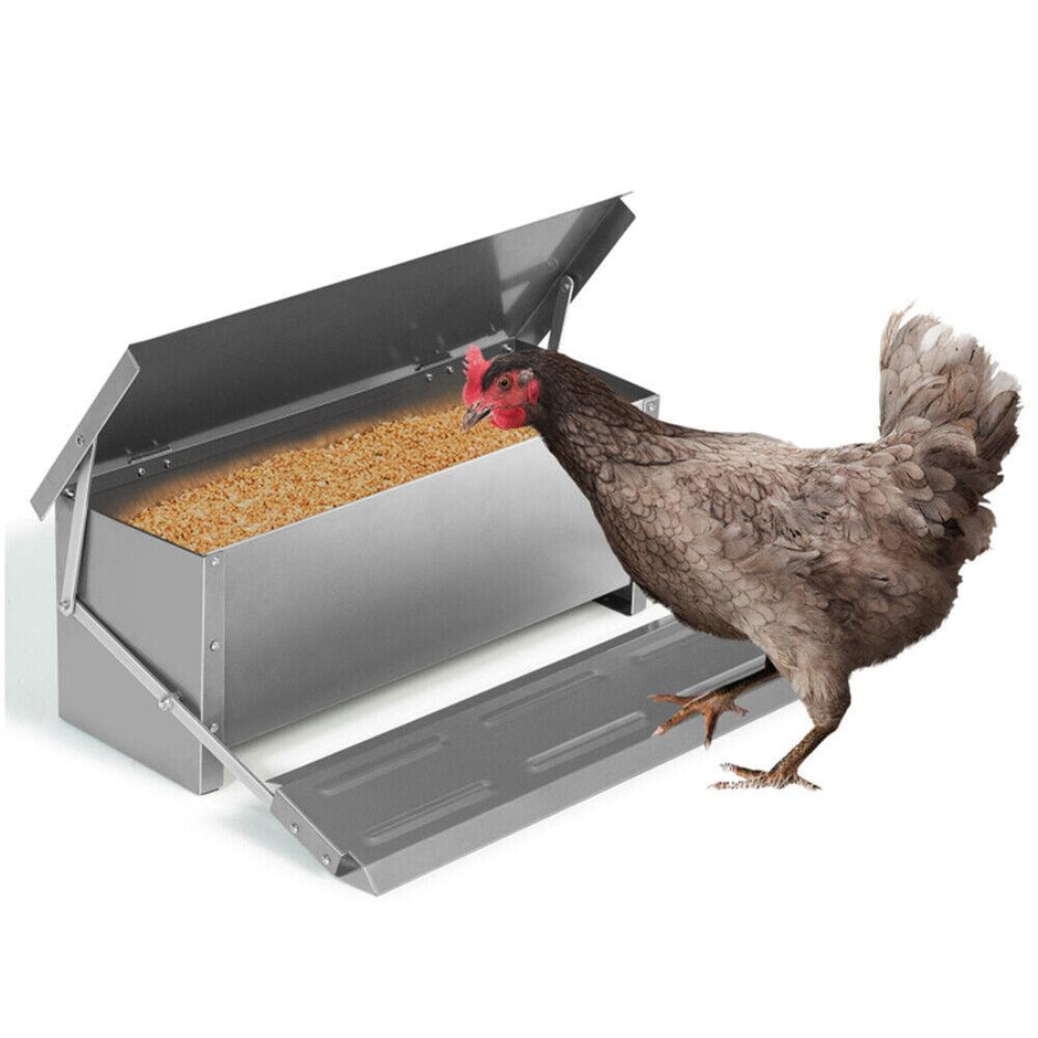 Automatic Chicken Feeders Australia | Rodent-Proof Poultry Feeders