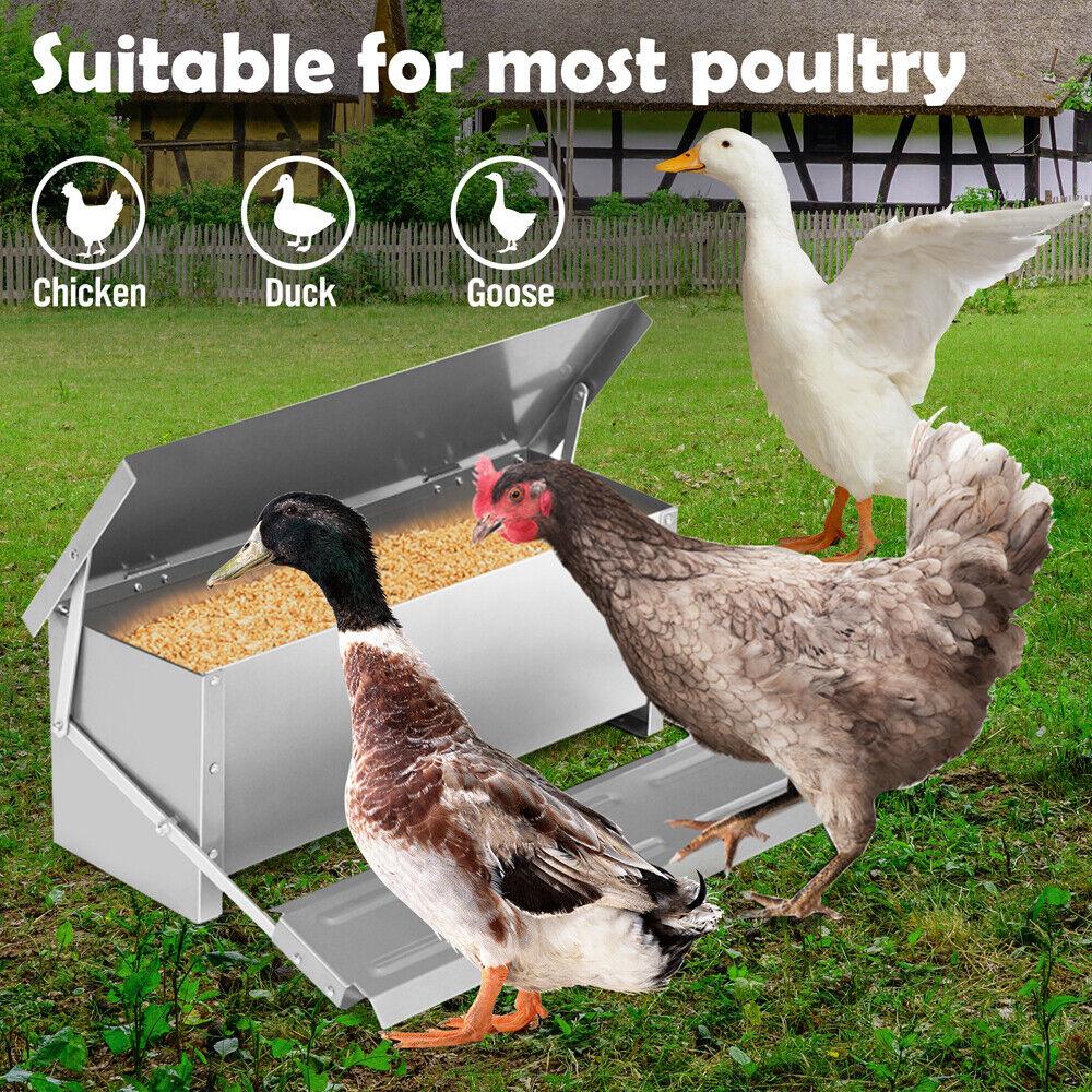 Automatic Chicken Feeder 12.5L