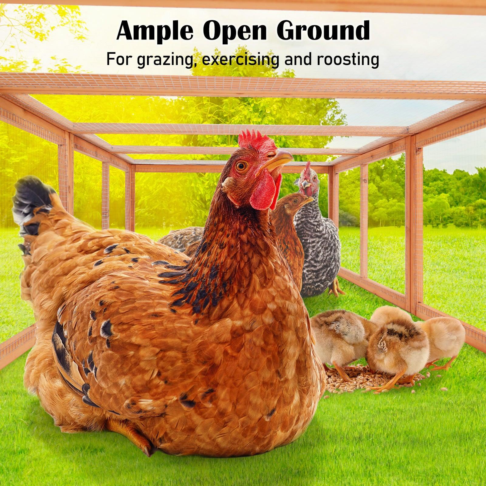 Chicken Coop with Run Extension | Rabbit Hutch Cage